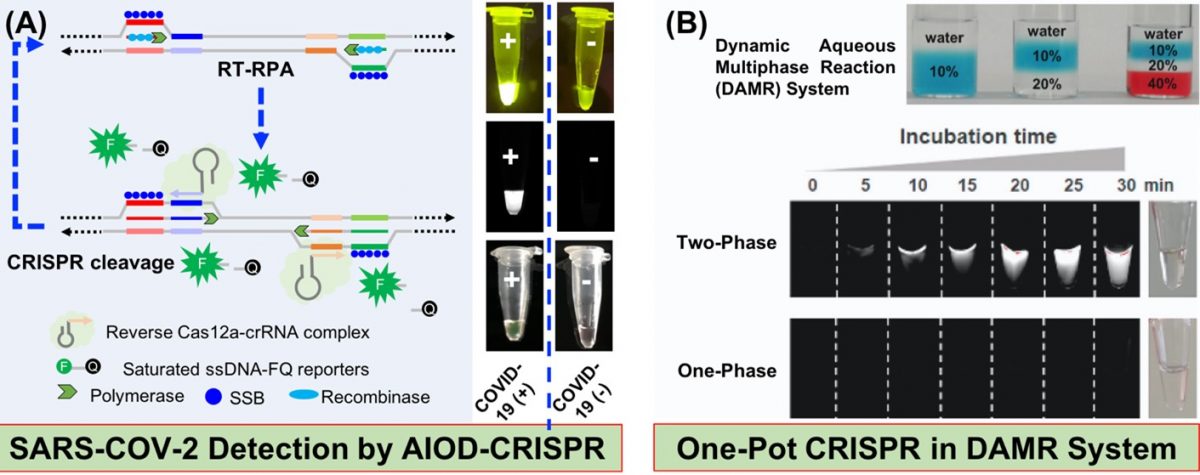 Research | Synthetic Biology and Smart Medical Device Laboratory